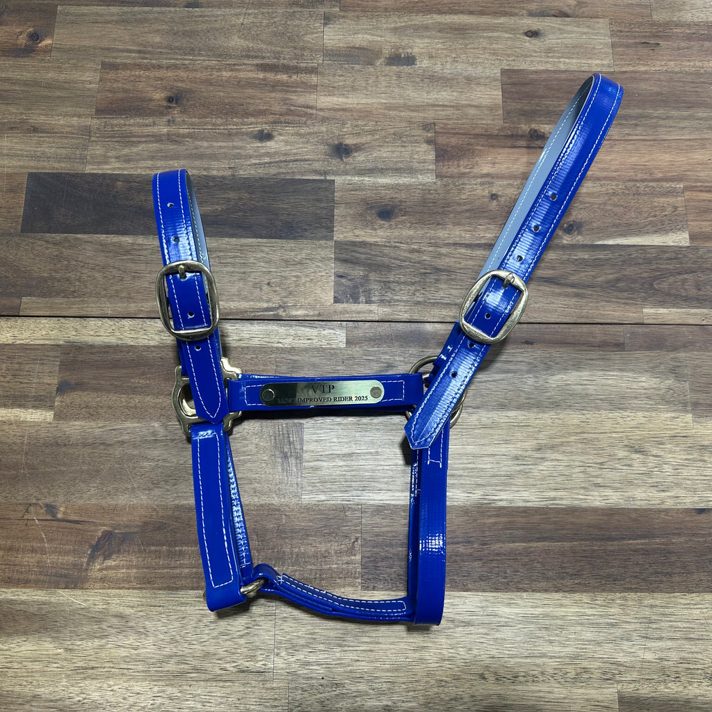 Custom PVC Halter with Engraved Horse Nameplate – Hamag