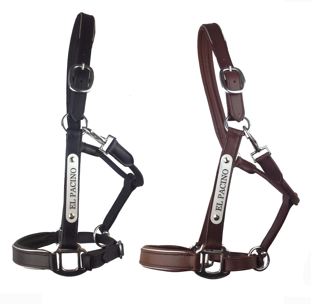 Leather Halter - Silver Fittings with Engraved Horse Nameplate – Hamag
